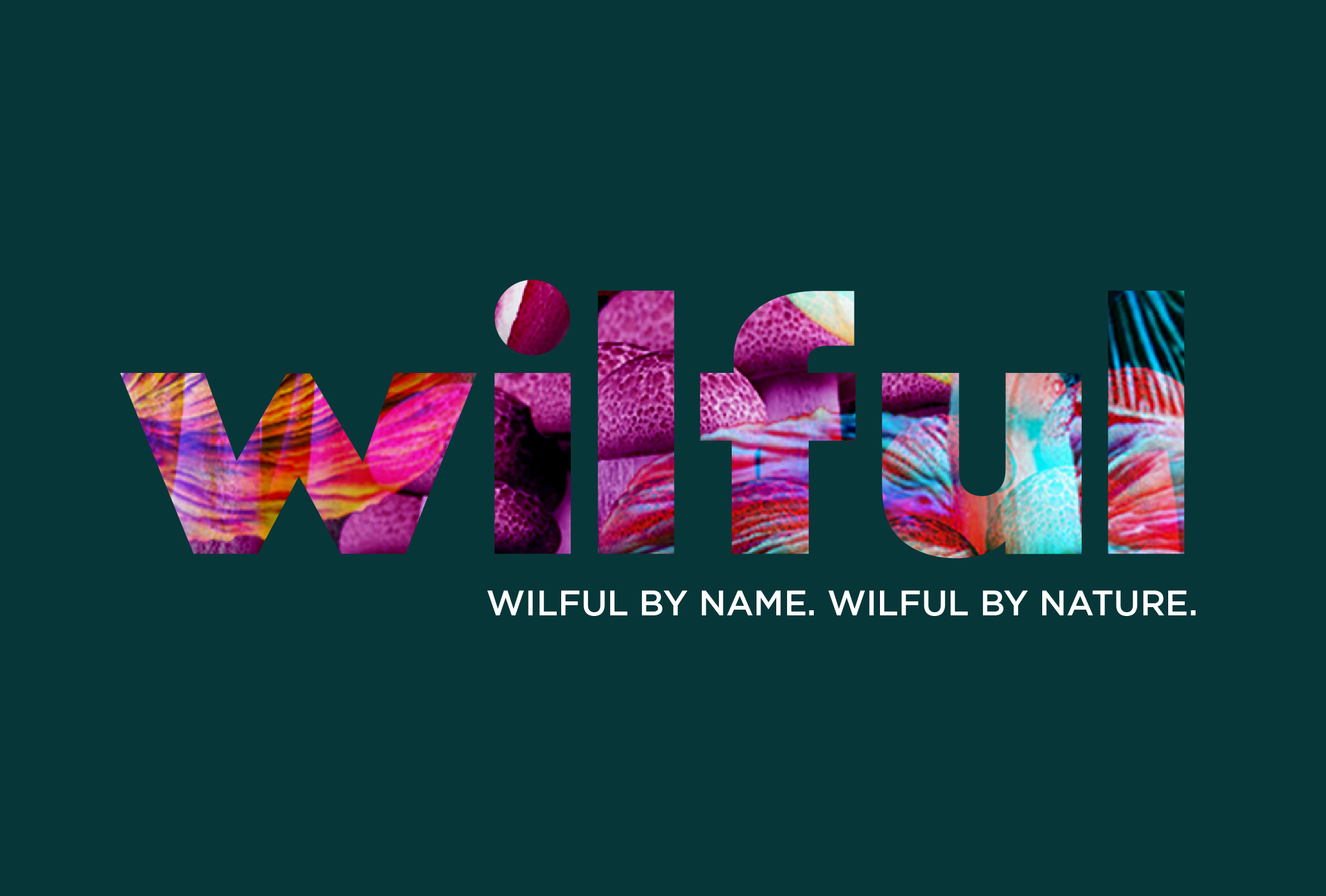 Wilful Press Release - Gong