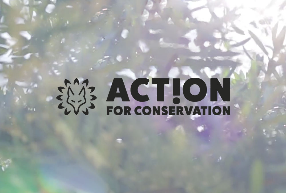 ACTION FOR CONSERVATION AND WILFUL CEMENT PARTNERSHIP - Gong